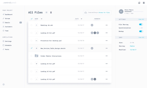 Wireframe color scheme for the Control Panel design system